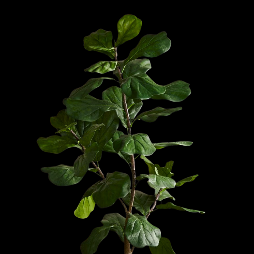 Evolution Floral & Events – International Silk Flowers