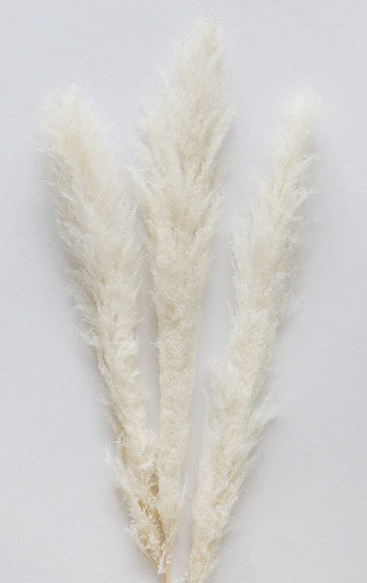 Pampas Grass – International Silk Flowers