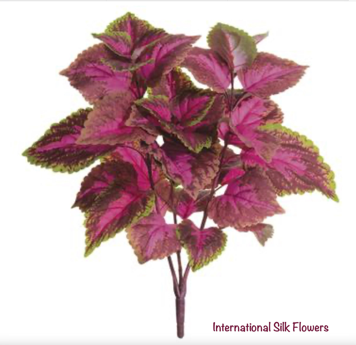 19" Large Leaf Coleus Bush ( PBC199-Fushia Green ) – INTERNATIONAL SILK