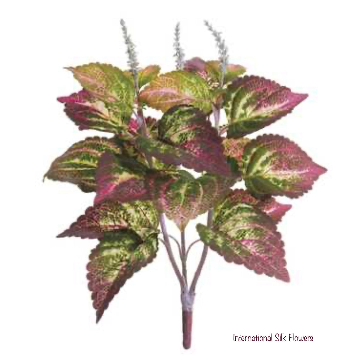 19" Large Leaf Coleus Bush ( PBC201-GR ) – International Silk Flowers