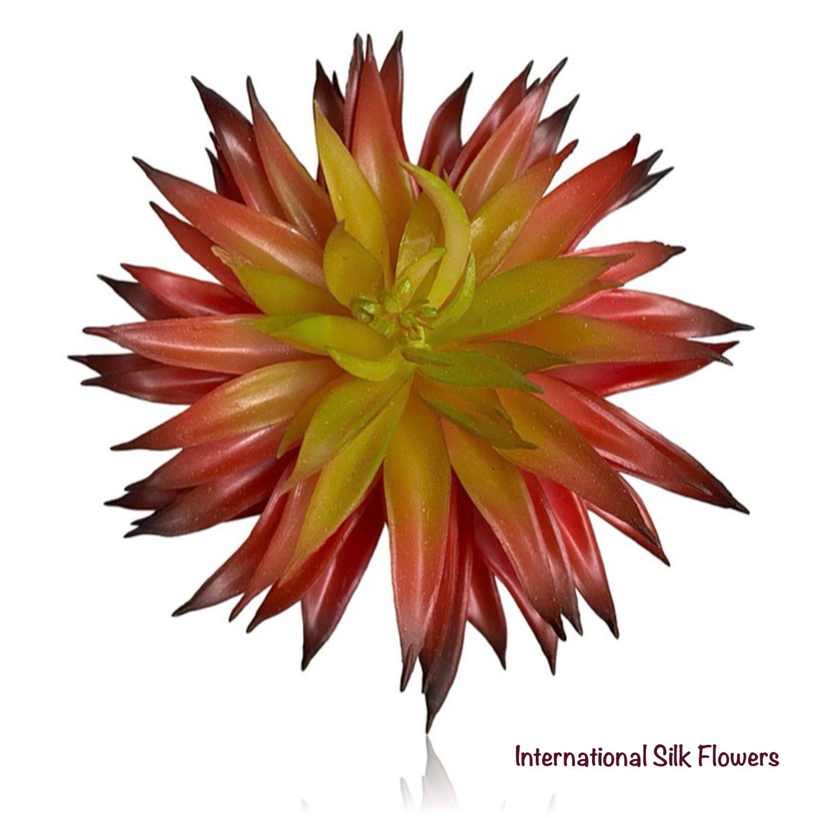 7” Succulent Pick ( 142858-Red ) – INTERNATIONAL SILK